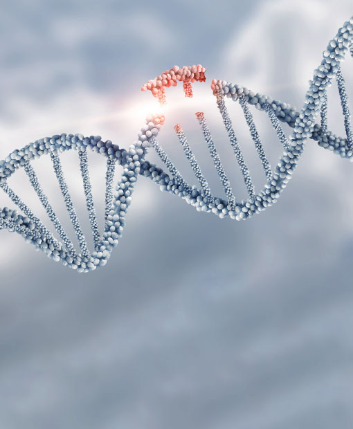 Leah Gilman I How Direct-to-Consumer Genetic Testing is Changing the ...